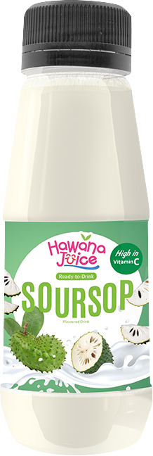 Ready To Drink Fruit Flavoured - Hawana Fruit Juice